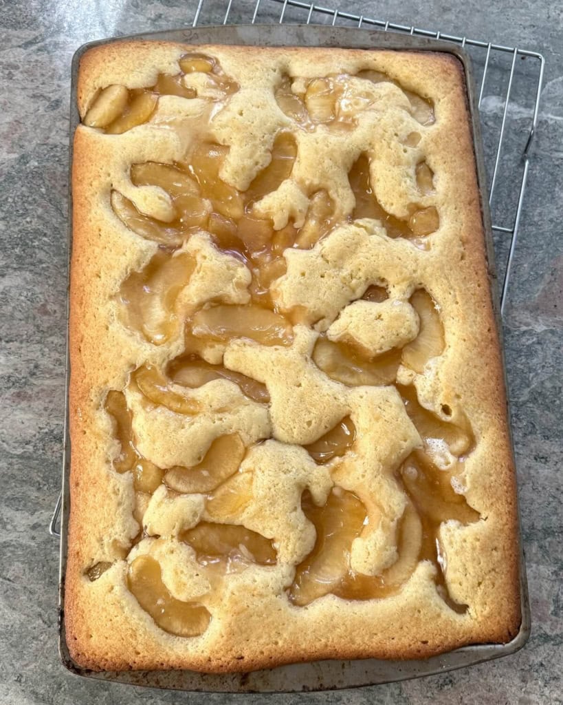 Easy Scone Cake {Sheet Pan Cake Recipe}