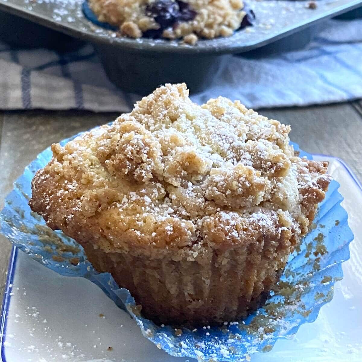 Fresh Blueberry Muffin Cake Recipe