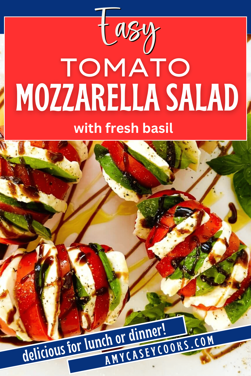 Stuffed Tomato, Mozzarella and Basil Caprese Salad